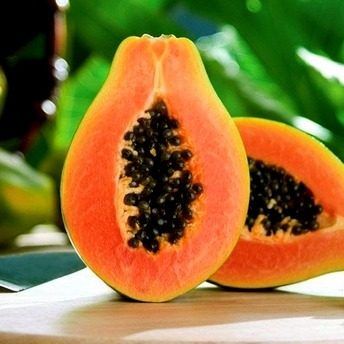 Mamão Papaya – Paraiso das Plantas